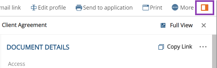 Document Details Panel